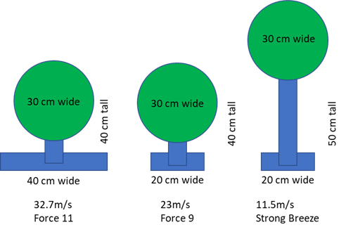 Choosing a pot - Bonsai Science