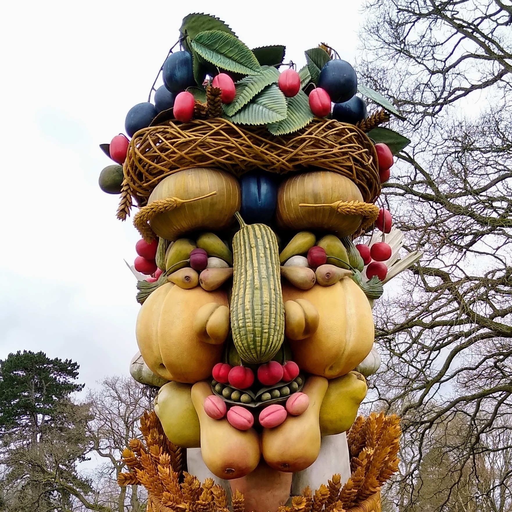 Tree Phenology (or Seasonal Cycles) - Bonsai Science